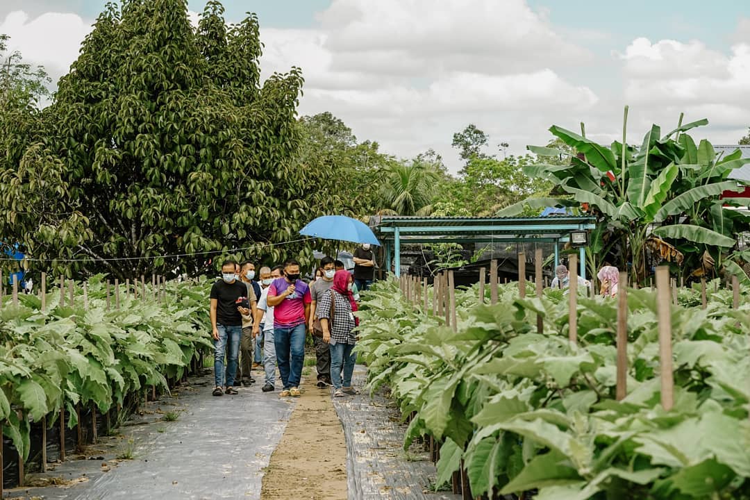Smart Fertigation Workshop Using Simple IOT – Sibu Digital Innovation ...
