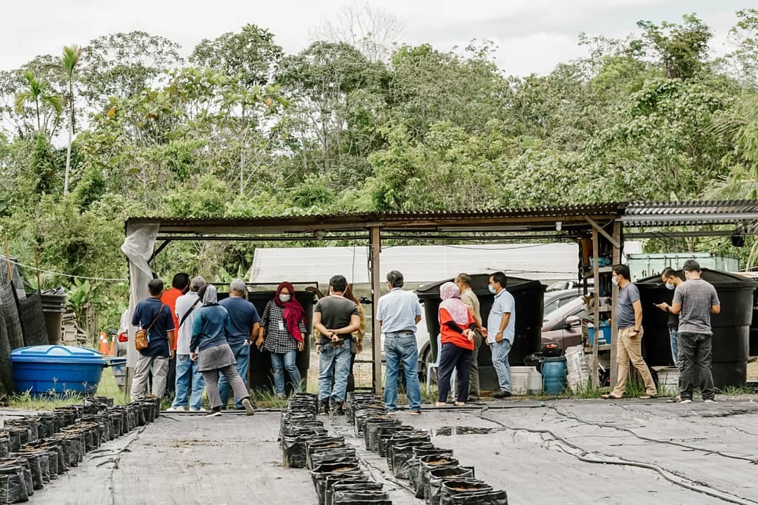 Smart Fertigation Workshop Using Simple IOT – Sibu Digital Innovation ...